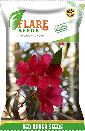 FLARE SEEDS RED KANER SEEDS - 50 SEEDS PACK, Brown, Small (olumredkaner ...