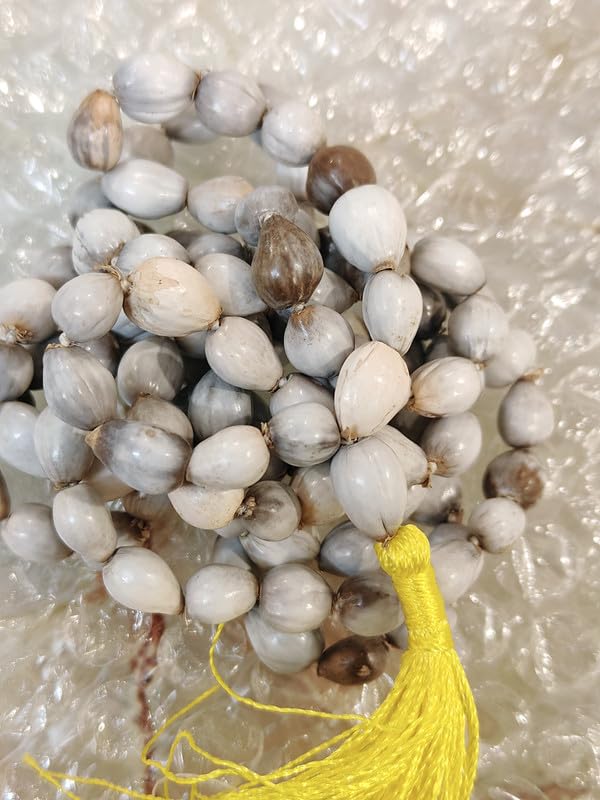 GemsMart Real vaijayanti mala 108 beads original certified jap baijanti ...