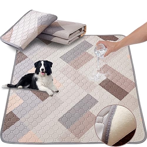 10 Best Area Rugs For Dogs That Pee