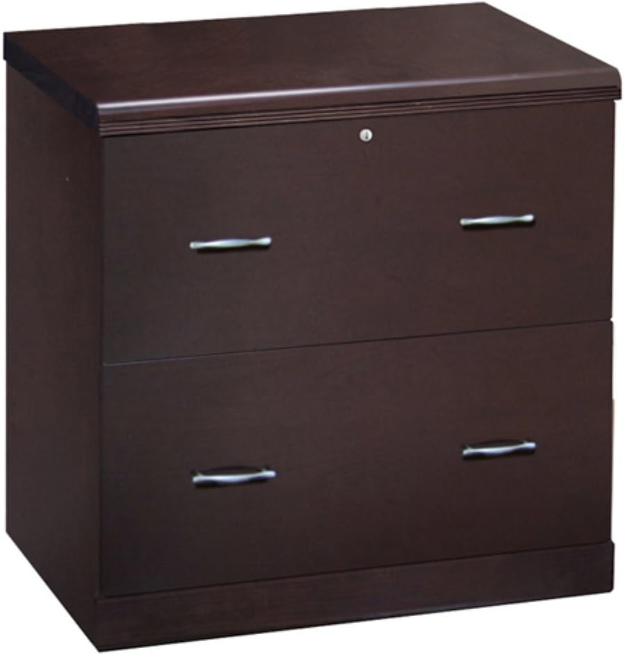 Amazon.com: Z-Line Designs 2-Drawer Lateral File Cabinet, Espresso ...