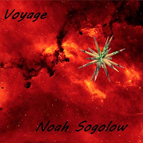 Amazon.com: Voyage : Noah Sogolow: Digital Music