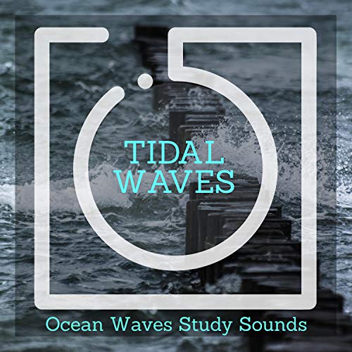 Amazon.com: Tidal Waves - Ocean Waves Study Sounds : Ocean Waves For ...