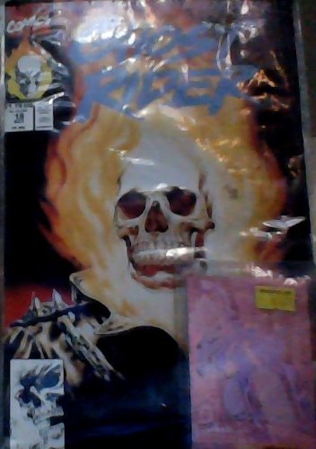 Ghost Rider The Resurrection of Barbara Ketch (Ghost Rider, The ...