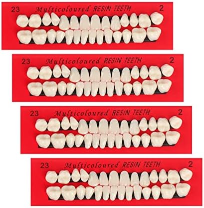Amazon.com: 4 Sets Acrylic Resin Fake Teeth Complete Acrylic Resin ...