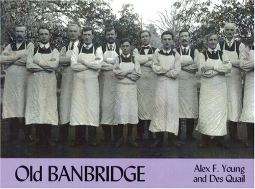 Old Banbridge: Amazon.co.uk: Young, Alex, Quail, Des: 9781840332049: Books