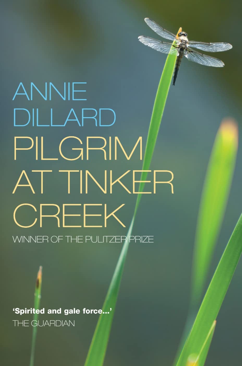 Pilgrim at Tinker Creek (NO US RIGHTS): Dillard, Annie: 9781848250789 ...