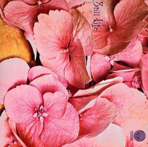 Amazon.com: Still Life: CDs & Vinyl