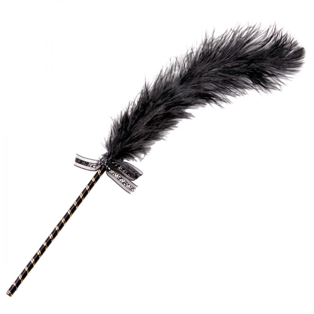 Amazon.com: Lynx Feather Tickler : Health & Household