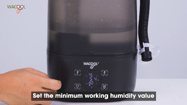 Watch WACOOL Reptile Fogger with Thermostat on Amazon Live