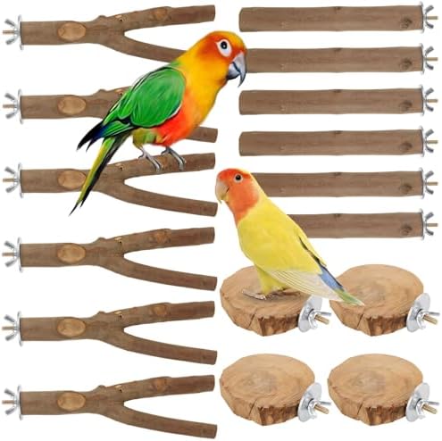 Amazon.com : 16 PCS Natural Wood Bird Perches Wooden Parrot Perch Stand ...