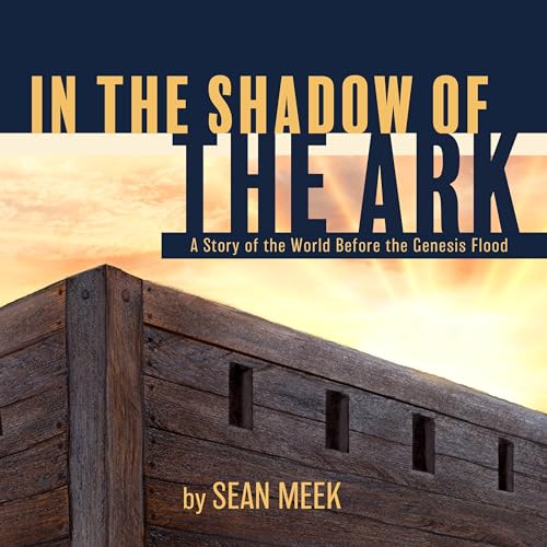 Amazon.com: In the Shadow of the Ark : Sean Meek: Books