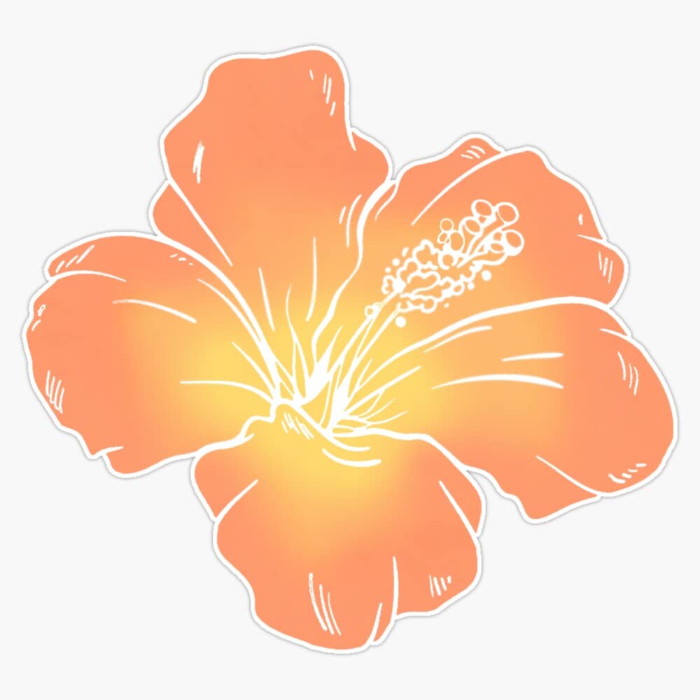 Amazon.com: hibiscus flower Bumper Sticker Decal 5" : Automotive