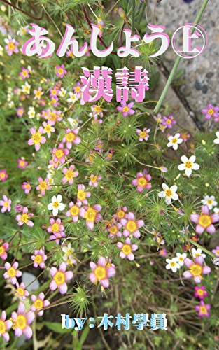 Ansho Jo Kanshi (Japanese Edition) eBook : Kimura Gakuin: Amazon.in ...