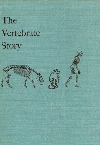 The Vertebrate Story: Romero, illustrated: Amazon.com: Books