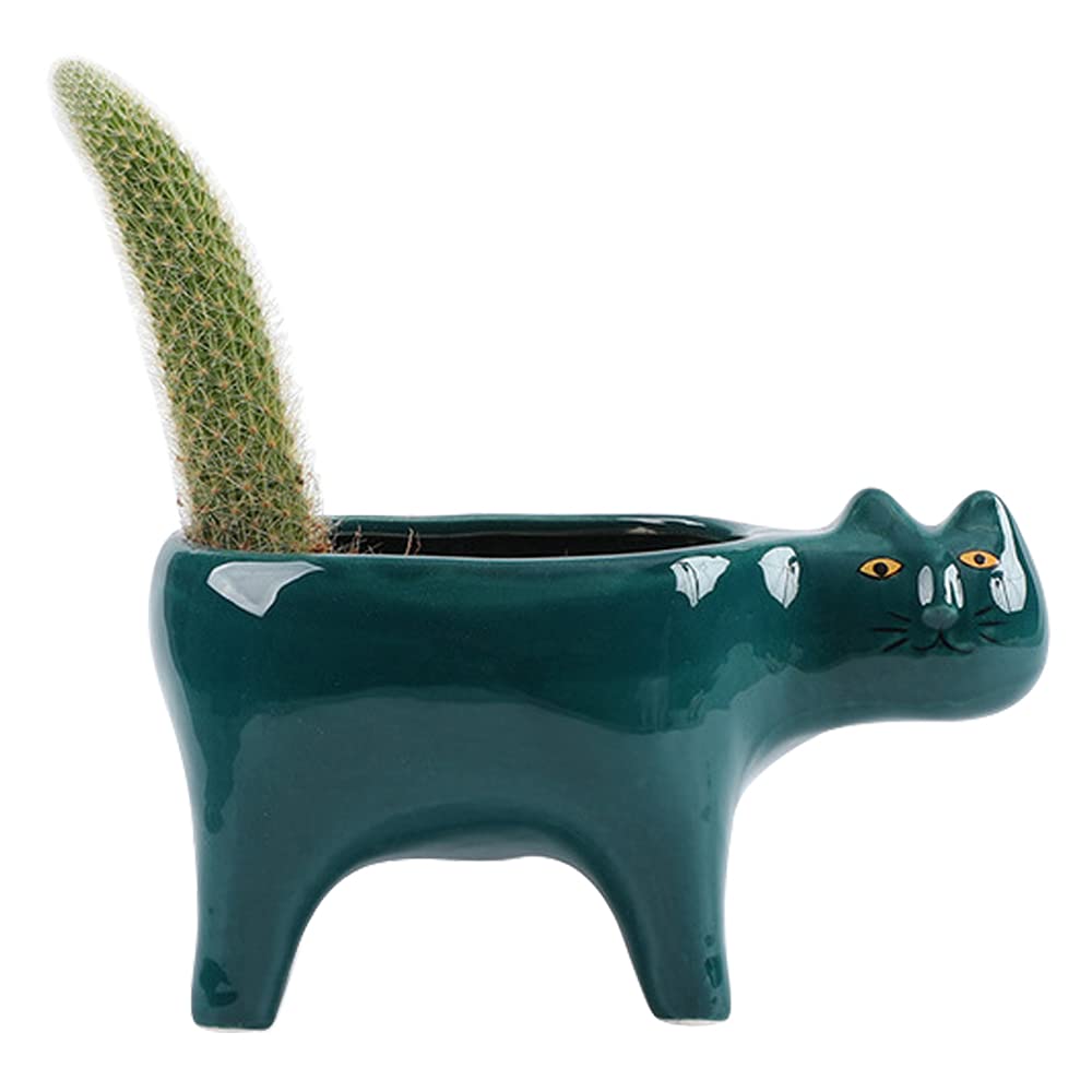 Amazon.com : DIYOMR Cat Planter Animal Succulent Pots, Ceramic Cat Mini ...