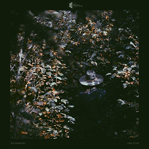 Play Sour Patch by Wiseyoungfool on Amazon Music