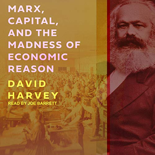 Amazon.com: Marx, Capital, and the Madness of Economic Reason (Audible ...