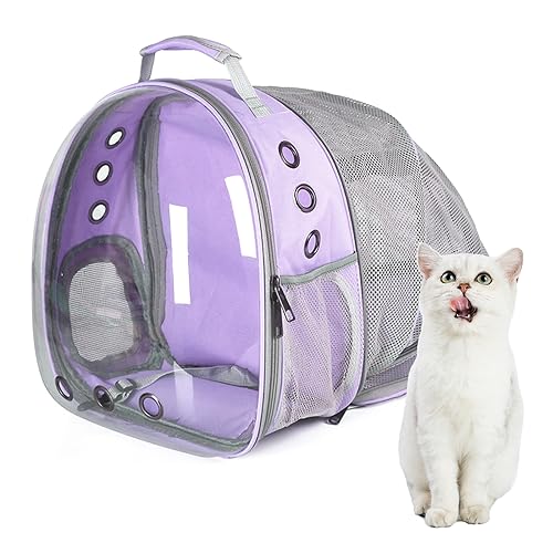 Travel Cat Backpack – The 15 best products compared - Wild Explained