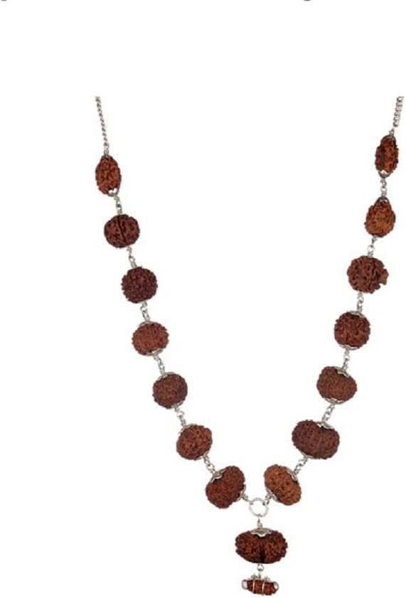 Amazon.com: Rudraksha Siddha Mala (1-14 Mukhi) Indonesian (Java ...