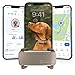 Tractive Smart Dog GPS Tracker | Live Pet Tracker with Virtual Fence ...