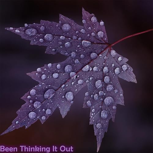 Amazon.co.jp: Been Thinking It Out [Explicit] : Cracker Jack: Digital Music