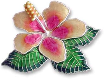 Amazon.com: Hibiscus Sterling Silver and Enamel Pin: Jewelry Pins ...