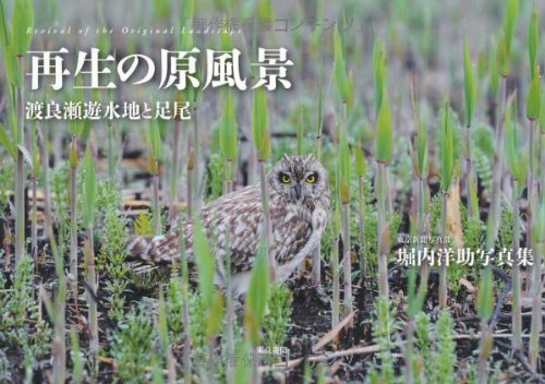 Amazon.com: Saisei no genfukei : Watarase yusuichi to ashio : Horiuchi yosuke shashinshu ...