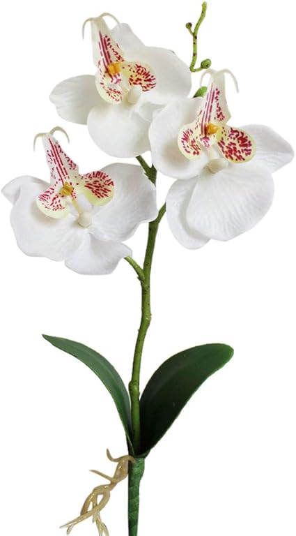 Amazon.com: Scceatti Faux Plants Indoor Artificial Orchid Fake Flowers ...