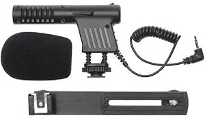 Amazon.com : Canon XH-A1S Camcorder External Microphone : Professional ...