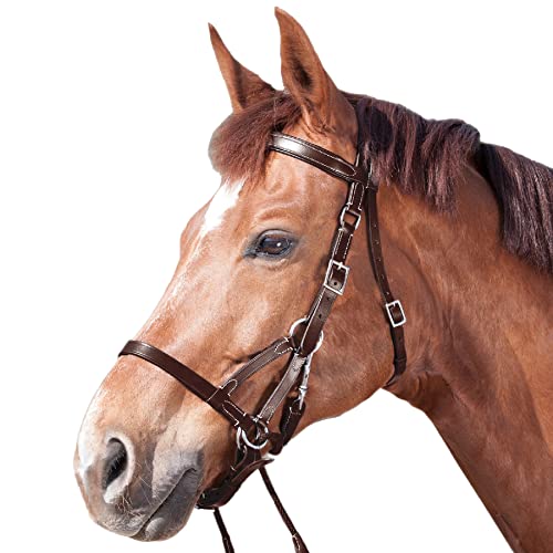 Zaumzeug Kaufen – Die 15 besten Produkte im Vergleich & Angebote ...