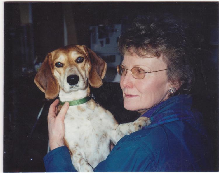 Amazon.com: Gail MacMillan: books, biography, latest update