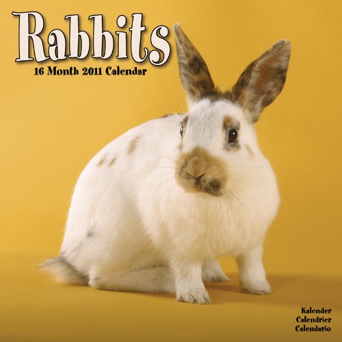 Rabbits 2011 Wall Calendar #30129-11: Avonside: 9781849810296: Amazon ...