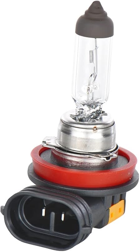 Bosch 1 987 302 081 Bulb, fog light : Amazon.co.uk: Automotive