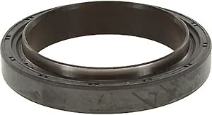 Amazon.com : RHYTHM TESTAMENT for Seal 2398429 Fits Caterpillar 259B3 ...