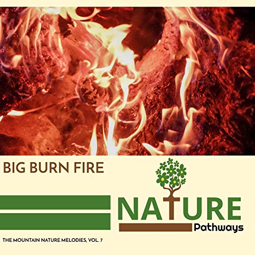 Play Big Burn Fire - The Mountain Nature Melodies, Vol. 7 by VARIOUS ...