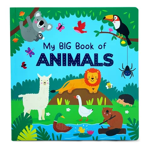 My Big Book of Animals - Kids Books - Childrens Books - Toddler Books ...