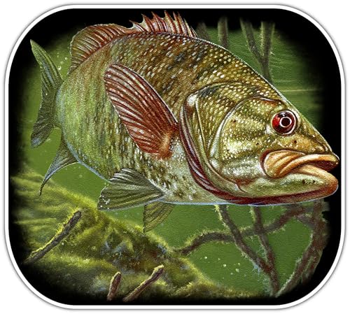 Amazon.com: Smallmouth Bass Sticker Fishing Sticker - Freshwater ...