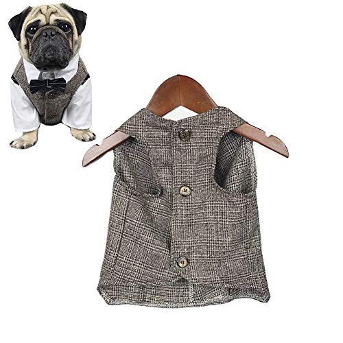 Reviews De Ropa De Perro Pug , Listamos Los 10 Mejores. | Las Mejores ...