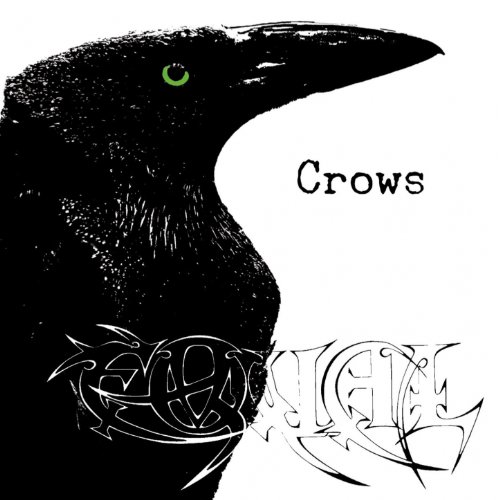 Amazon.com: Crows : Equal: Digital Music