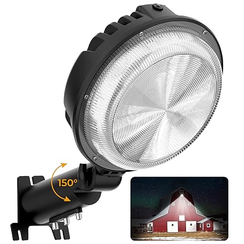 The 10 Best Led Barn Light
