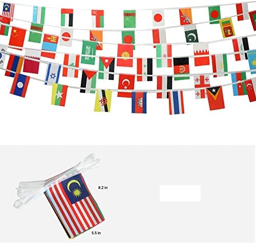 Amazon.com: North American Including Caribbean Countries String Flags ...