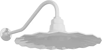 RLM Light 20" Radial Wave with 23" Style A Gooseneck, E26 Medium Base ...