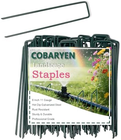 Amazon.com : COBARYEN Galvanized Steel Landscape Staples Heavy-Duty 6 ...