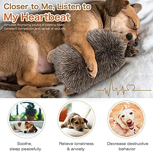 Do Dogs Have A Steady Heartbeat