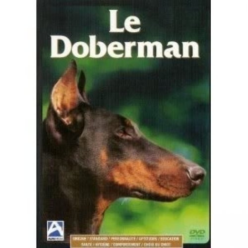 Le doberman: Amazon.it: Film e TV