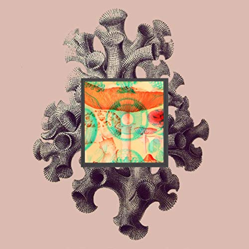 Amazon.com: Carbon : Monofade & Thomas Stoffer: Digital Music