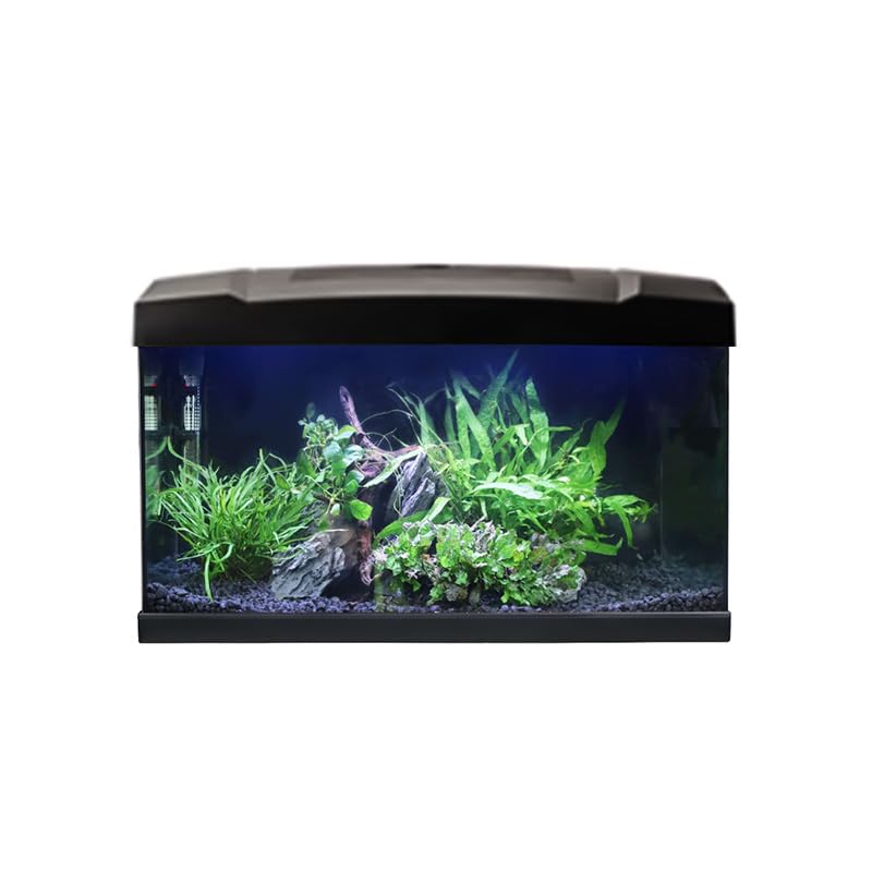 Swell Aquarium 60cm Tropical Freshwater LED Fish Tank Kit 54ltrs ...