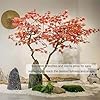 Amazon.com: Artificial Red Maple Tree, Realistic Large Japanese Red ...