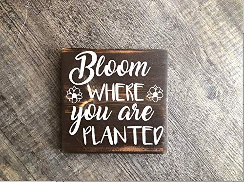 Amazon.com: Bloom where you are planted, wooden hanging sign, 6"x6 ...