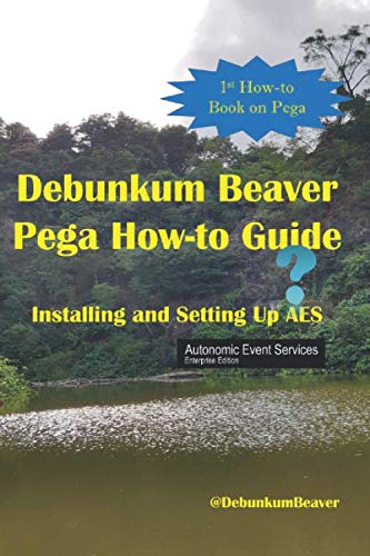 Buy Debunkum Beaver How-to Guide: Installing and Testing AES: 1 ... Buy Debunkum Beaver How-to Guide: Installing and Testing AES: 1 ...